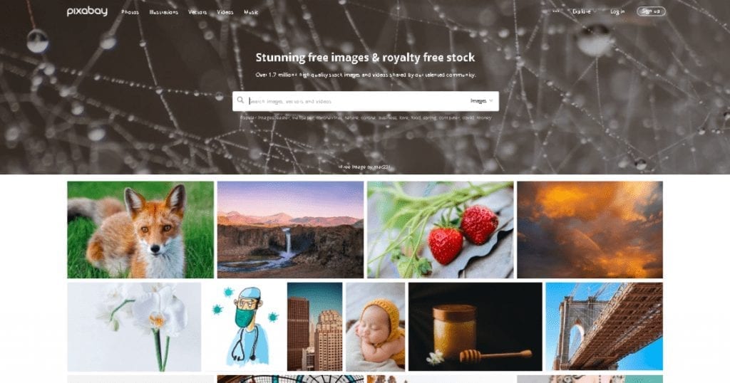 Free Images to Use Commercially - An Extensive Guide